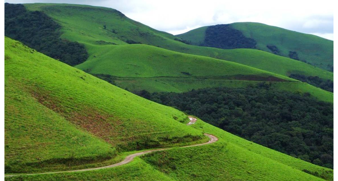 Top 10 Places to Visit in Chikmagalur